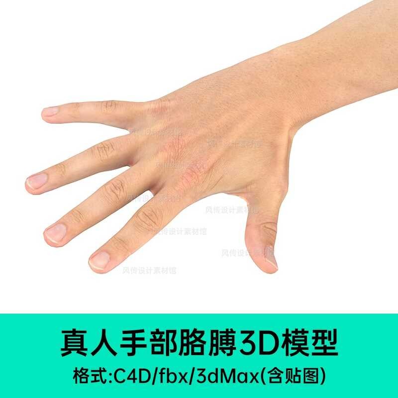Character hand model 3D arm C4D arm modeling material Palm skin texture ...
