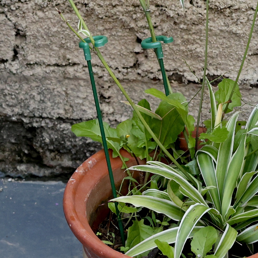 Portable Multi-sized Plastic Potted Plant Protective Support Rack ...