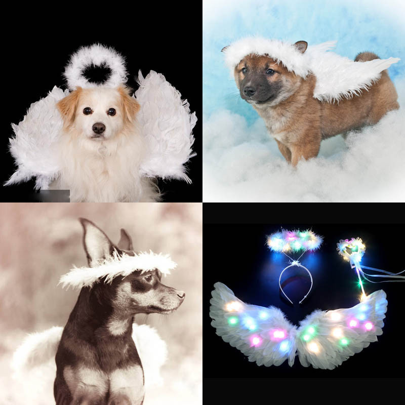 Fashion Wings Costume for Dog Halloween Christmas Cosplay Pet Cat Angel ...