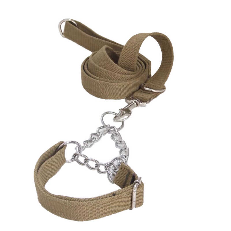 Canvas Dog Traction Line, Half P Chain Collar, Greyhound Whippet ...