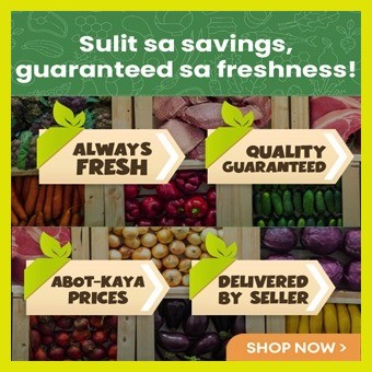 ♀ Bounty Fresh Chicken Breast Fillet 860g | Shopee Philippines