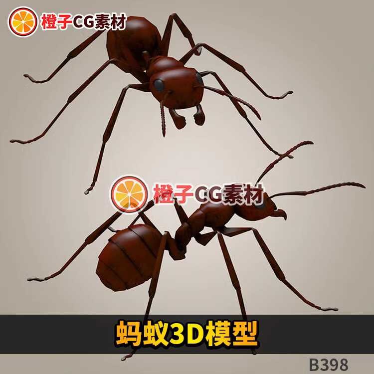 Ant 3D model material source file 3D modeling c4dobjsuskp animal insect ...