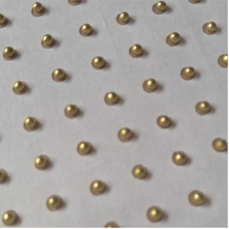 LY Magnets Gold Ear Seed Stickers, Ear Seed, Ear Magnetic Pellets, 121 ...