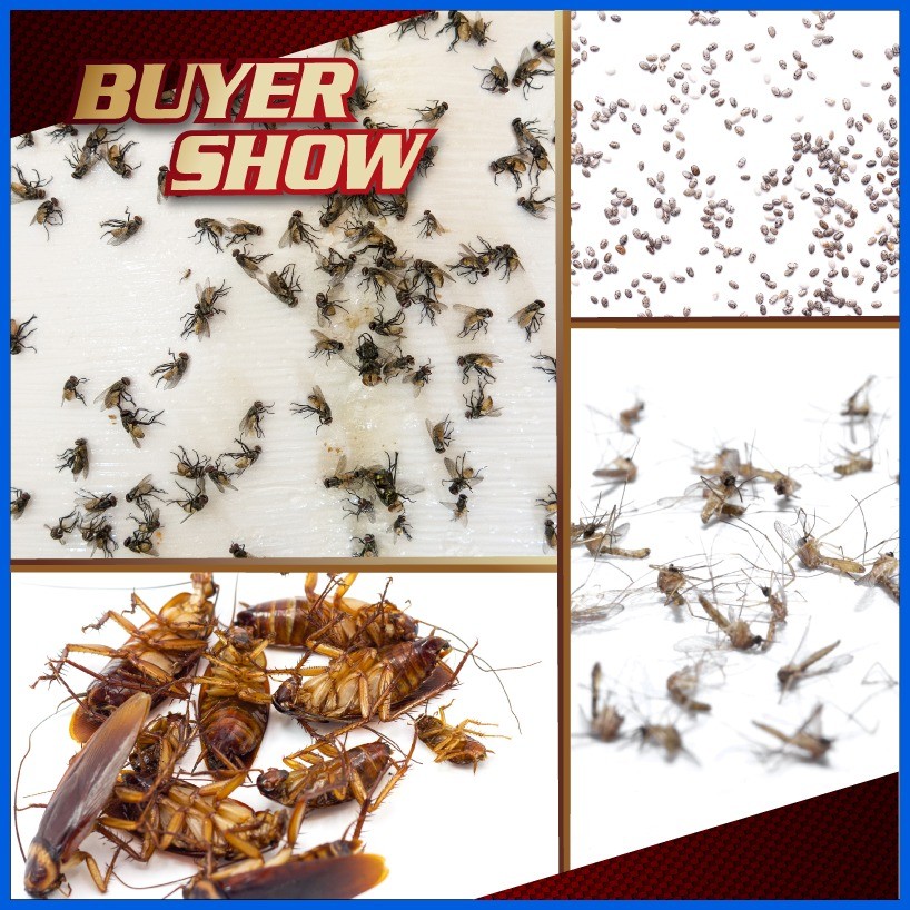 ☢ Black Bat Mosquito Insect Killer Insect Killer Insecticide Spray ...