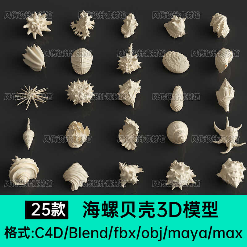 Conch Shell 3D Model C4D Marine Fossil Shell Model Snail Sea Urchin ...