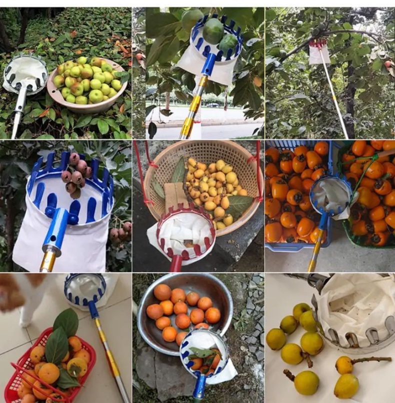 Fruit Picker with Adjustable Long Pole Multifunctional Stainless Steel ...