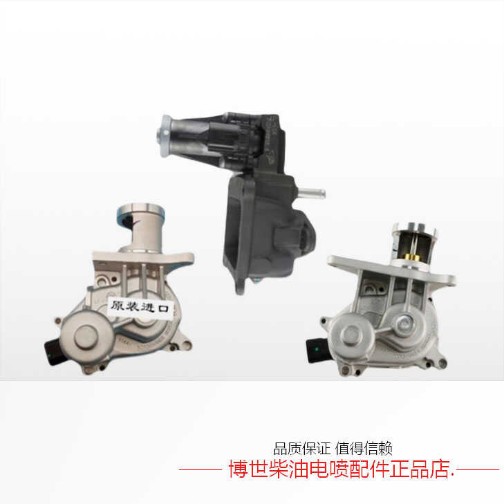 EGR valve 42190BL001 42020BZ003 42020QN001 is compatible with Longsheng ...