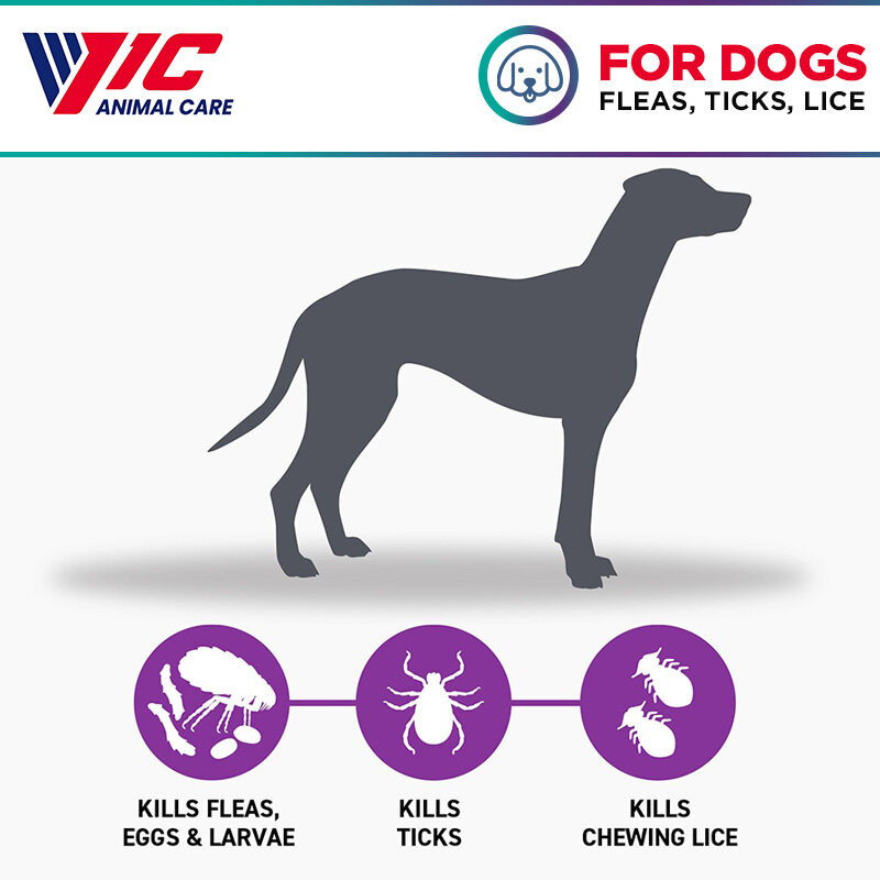 Frontline Plus For Dogs Anti Tick And Flea Spot-On Anti Itch Pulgas ...