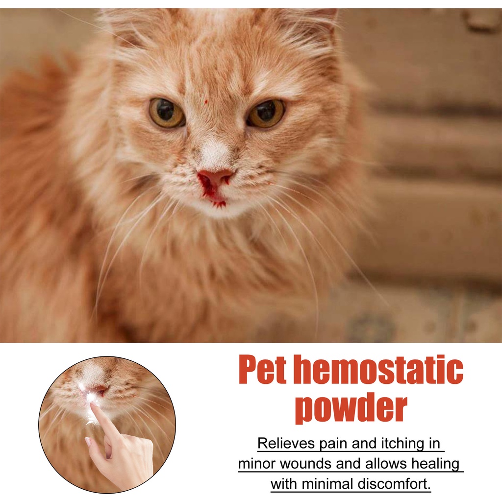 Stop Bleeding Powder Pet HemostaticPowder Wound Healing Powder ...