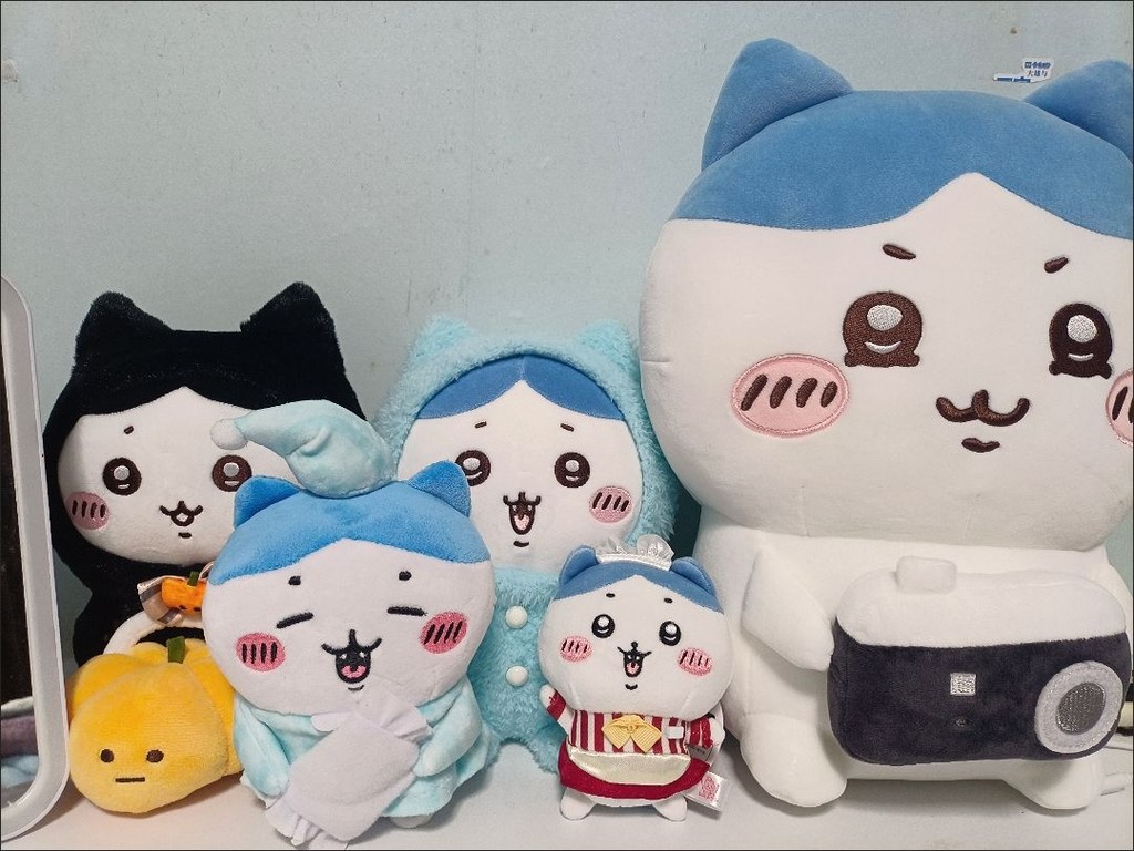 【Fast shipping】chiikawa plushie chikawa Small Eight Jiika Usagi Cute ...