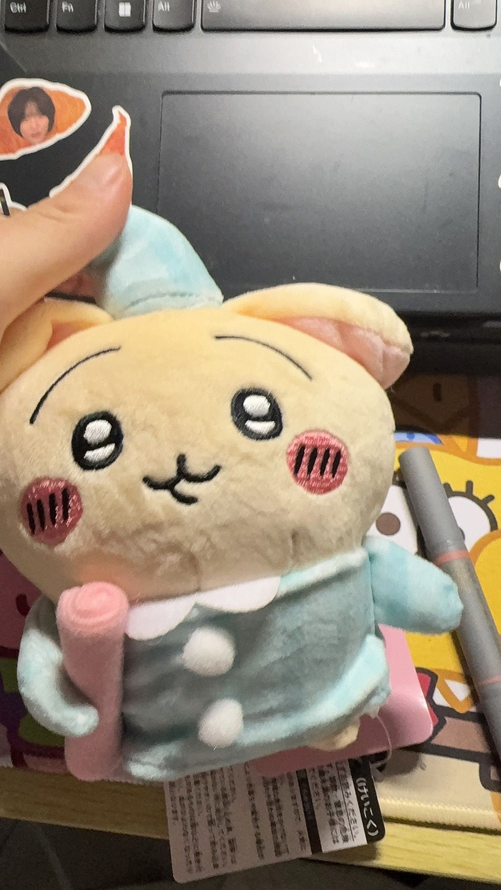 【Fast shipping】chiikawa plushie chikawa Small Eight Jiika Usagi Cute ...