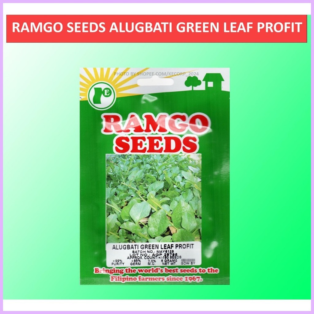 ☎ ☫ Ramgo RPD Alugbati Green leaf Seeds 6 grams_kc241207 | Shopee ...