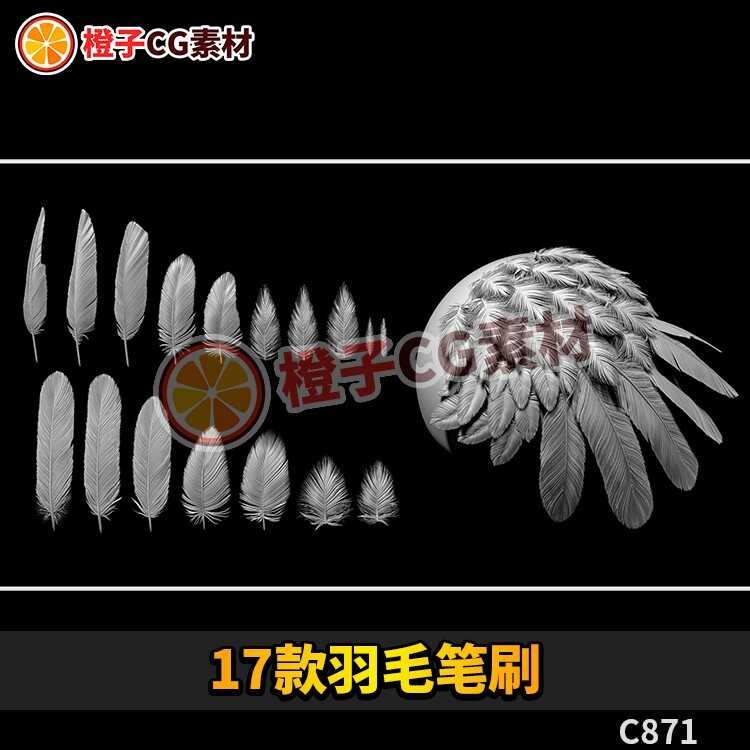 17 feather ZBrush brushes, bird wings IMM models, zbp brushes, 3D ...
