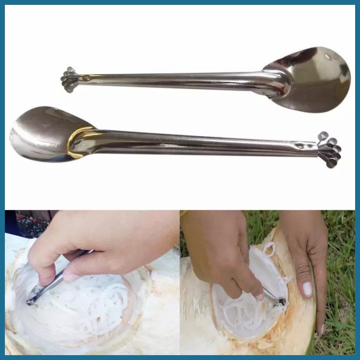 ⚾︎ ♚ ☇ Stainless Steel Coconut Meat Scraper Fish Scaler Remover for ...
