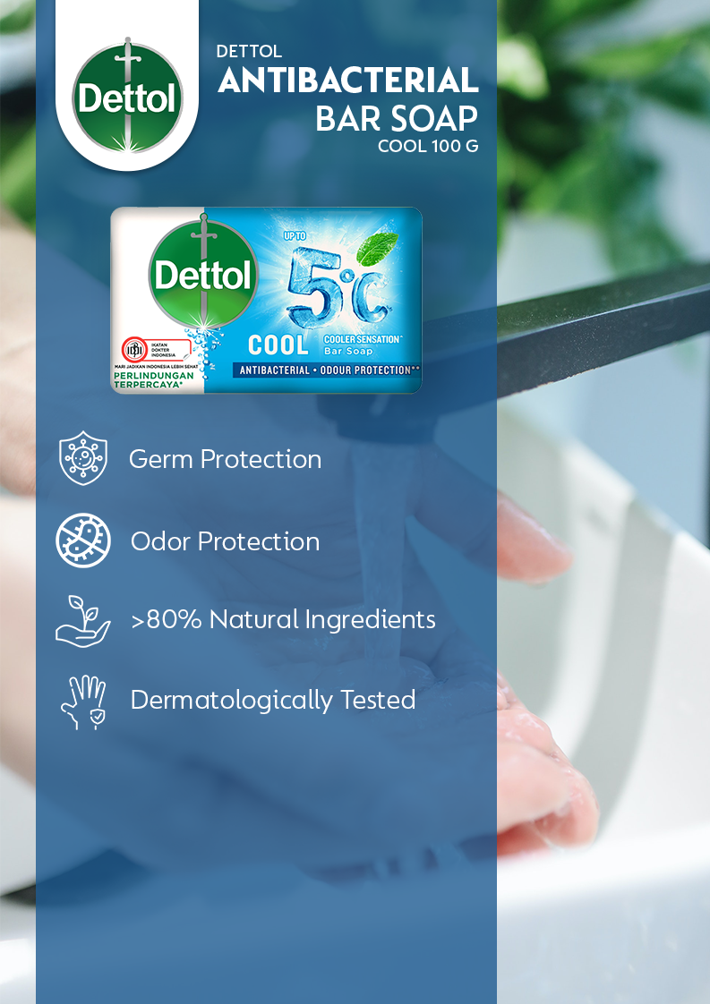 Dettol Cool Menthol and Eucalyptus Bar Soap 100 Grams Bundle of 4 ...