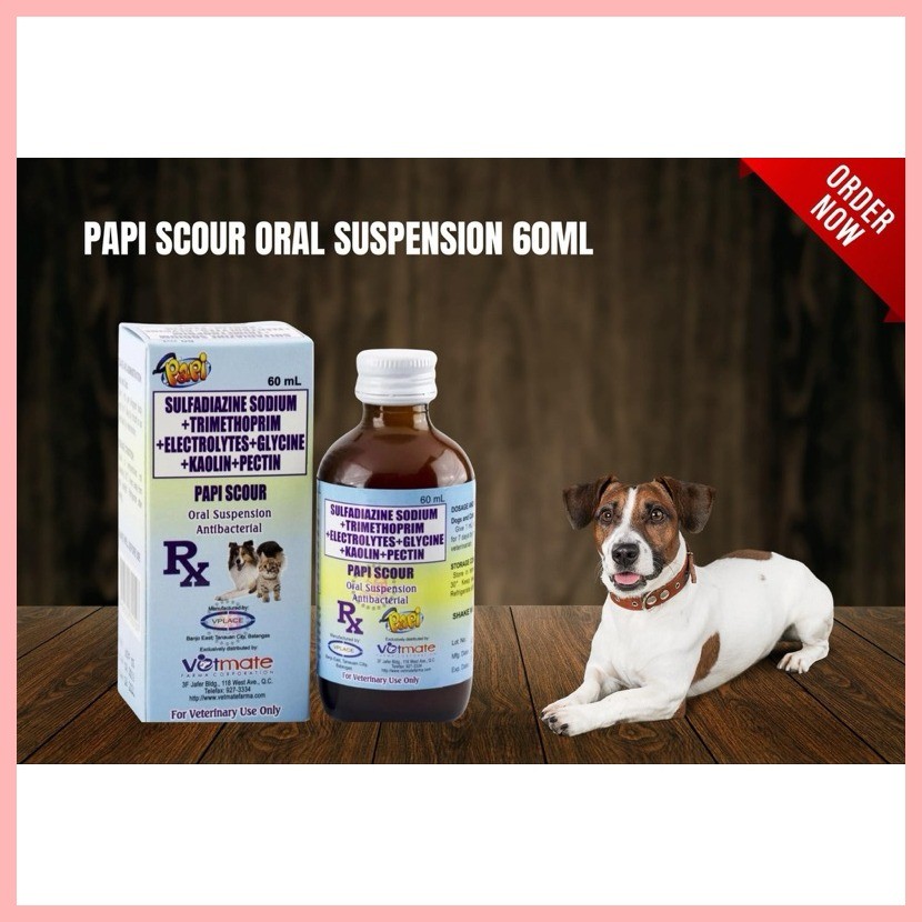 유 ℨ Papi Scour and LC scour Oral Suspension | Shopee Philippines