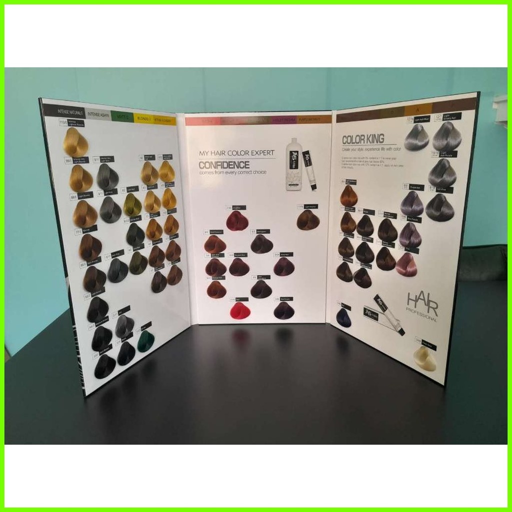 ASHLEY HAIR COLOR CHART COMPLETE COLORS | Shopee Philippines