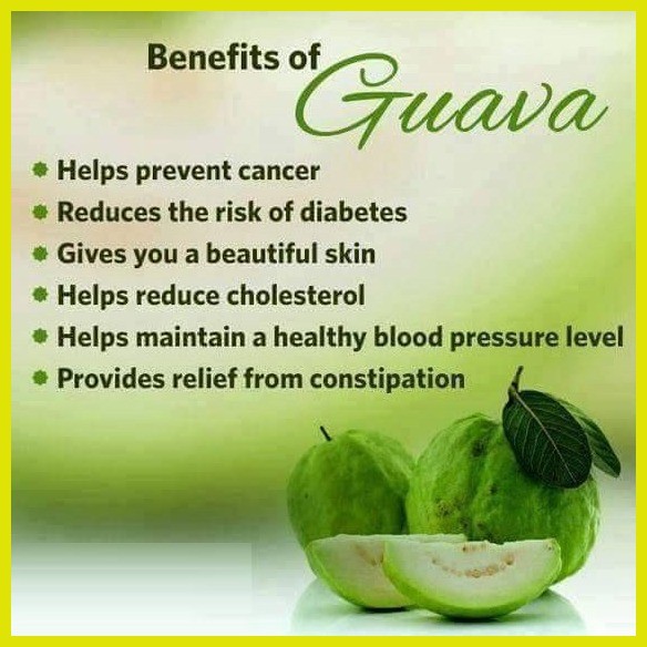 ♂ ☂ Herbal Dahon ng Bayabas Guava Leaves with Freebies Fresh Healthy 50 ...