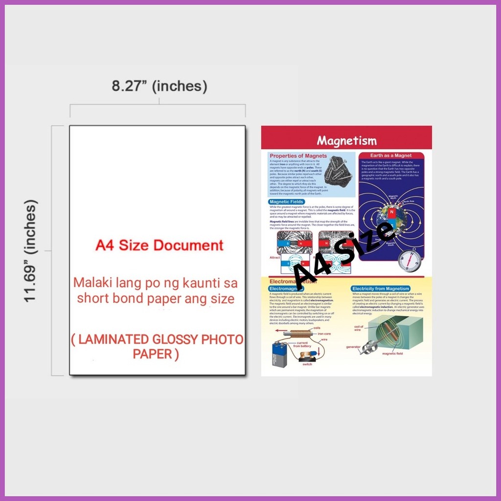 ۞ MAGNETISM POSTERS CHARTS I ALL ABOUT SCIENCE CHARTS, A4 Size ...