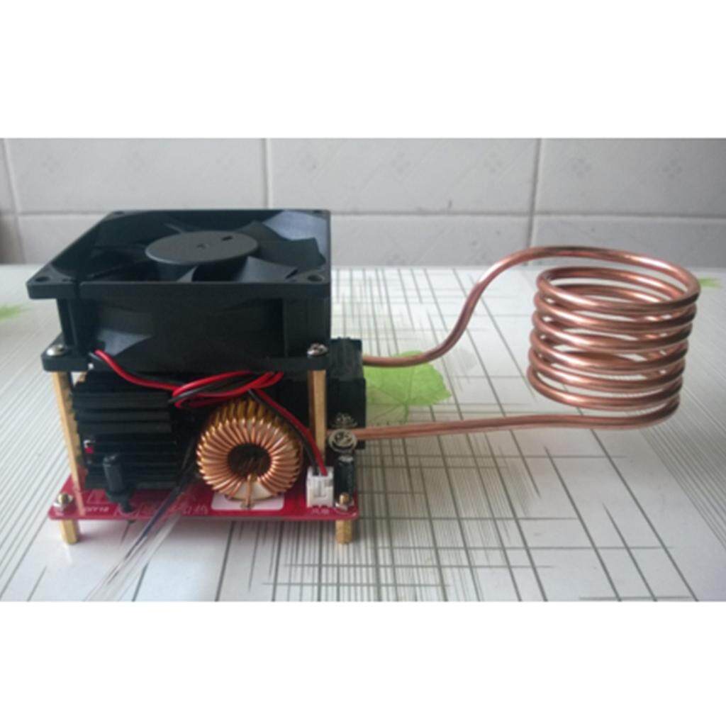 20A ZVS Induction Heating Board Flyback Driver Heater Cooker+ Ignition Coil | Shopee Philippines