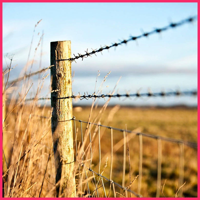 Barb Wire 1Roll Anti-Climb Steel Fencing Wire 50/80/100/120M Protect ...