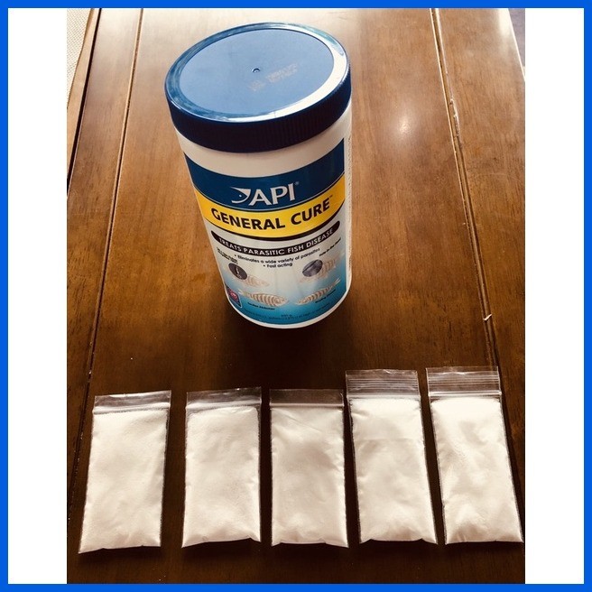 ♨ API General Cure (repacked) 20g | Shopee Philippines