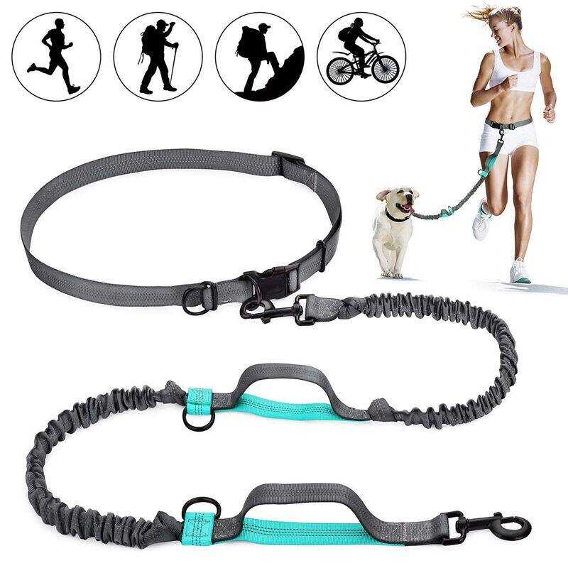 Hands Waist Dog Leash With Dual Bungees, Free Control For Up To 150 Lbs ...