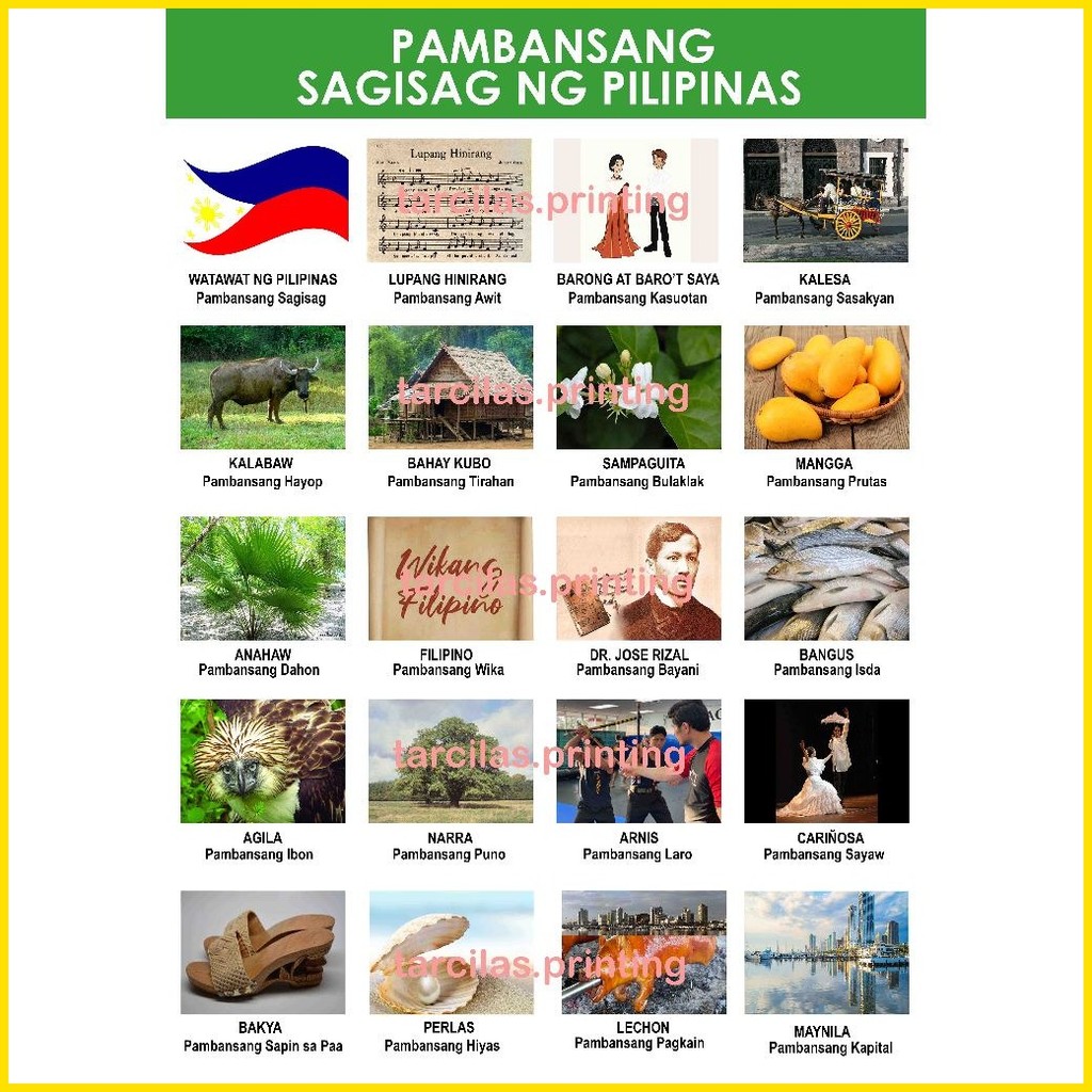 Sagisag ng Pilipinas Chart A4 Laminated High Print Quality | Shopee ...