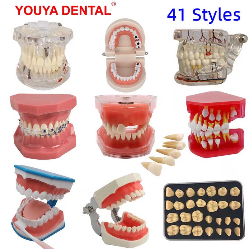 41 Styles Dental Model Teeth Teaching Model Dentist Typodont ...