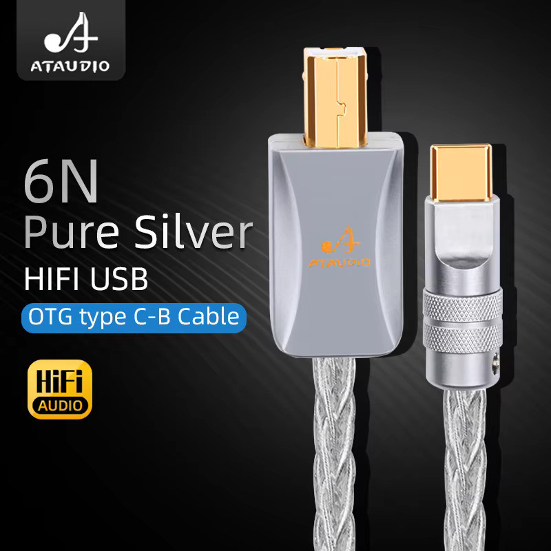 Hifi Pure Silver Usb Cable High Performance Type C to Type B Otg Data ...