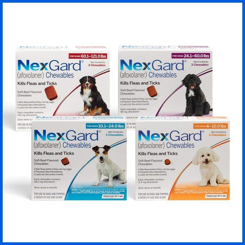 Nexgard and Nexgard Spectra Anti Tick & Flea with FREE Sticker Chewable ...