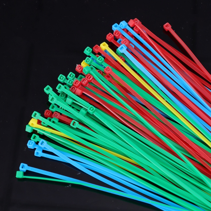 100Pcs Nylon Fixed Cable Ties with Screw Hole - Multipurpose Screw Hole Cable Ties - Self ...