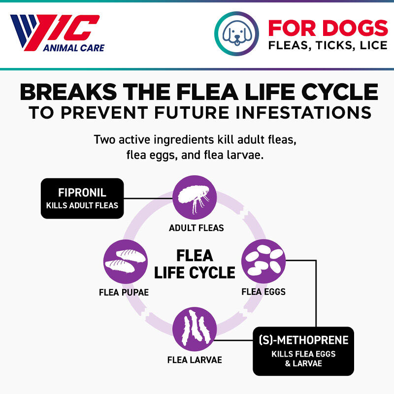 Frontline Plus For Dogs Anti Tick And Flea Spot-On Anti Itch Pulgas ...