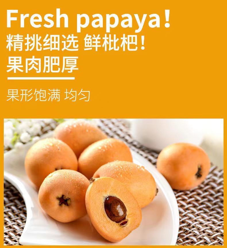 ZEJUN Loquat Dried Fruit Casual Snack Dried Fruit Candied Loquat Dried ...