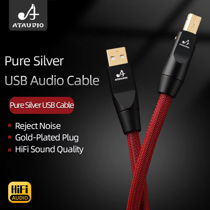 6N Pure Silver HiFi USB Audio Cable Digital Audio Type USB A to B Type ...
