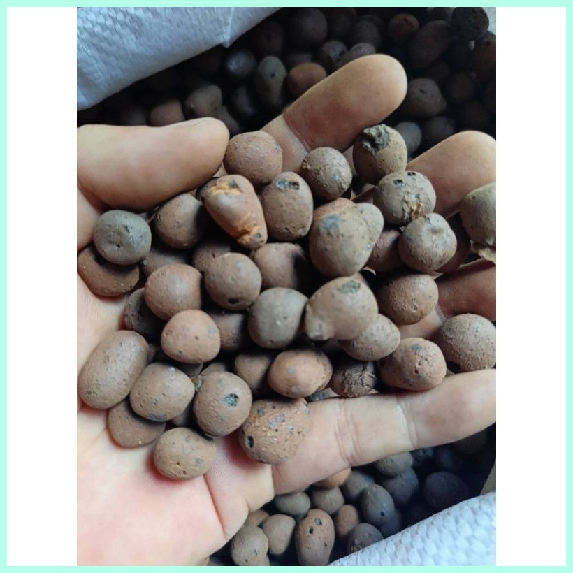 leca balls,Hydroton clay pebbles(500gram) | Shopee Philippines