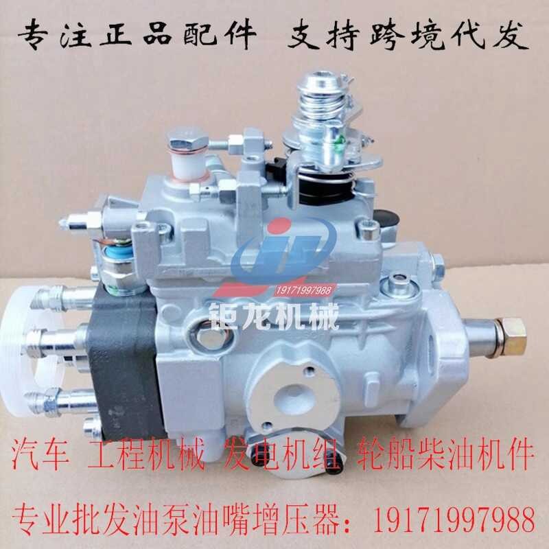 Cummins 4T-390 high-pressure diesel pump assembly 0460424081 fuel pump ...