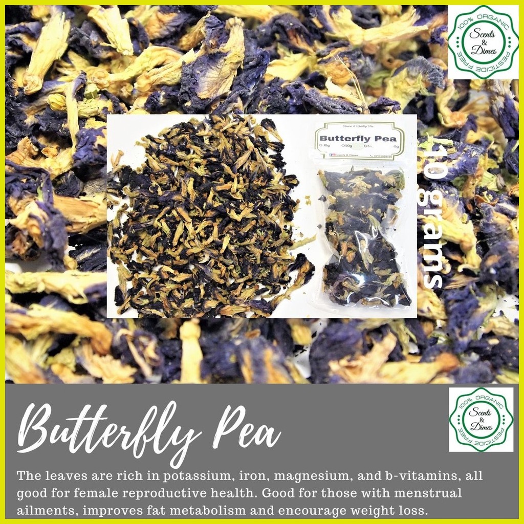 Dried Blue Butterfly Pea Flower Tea (Ternate) | Shopee Philippines