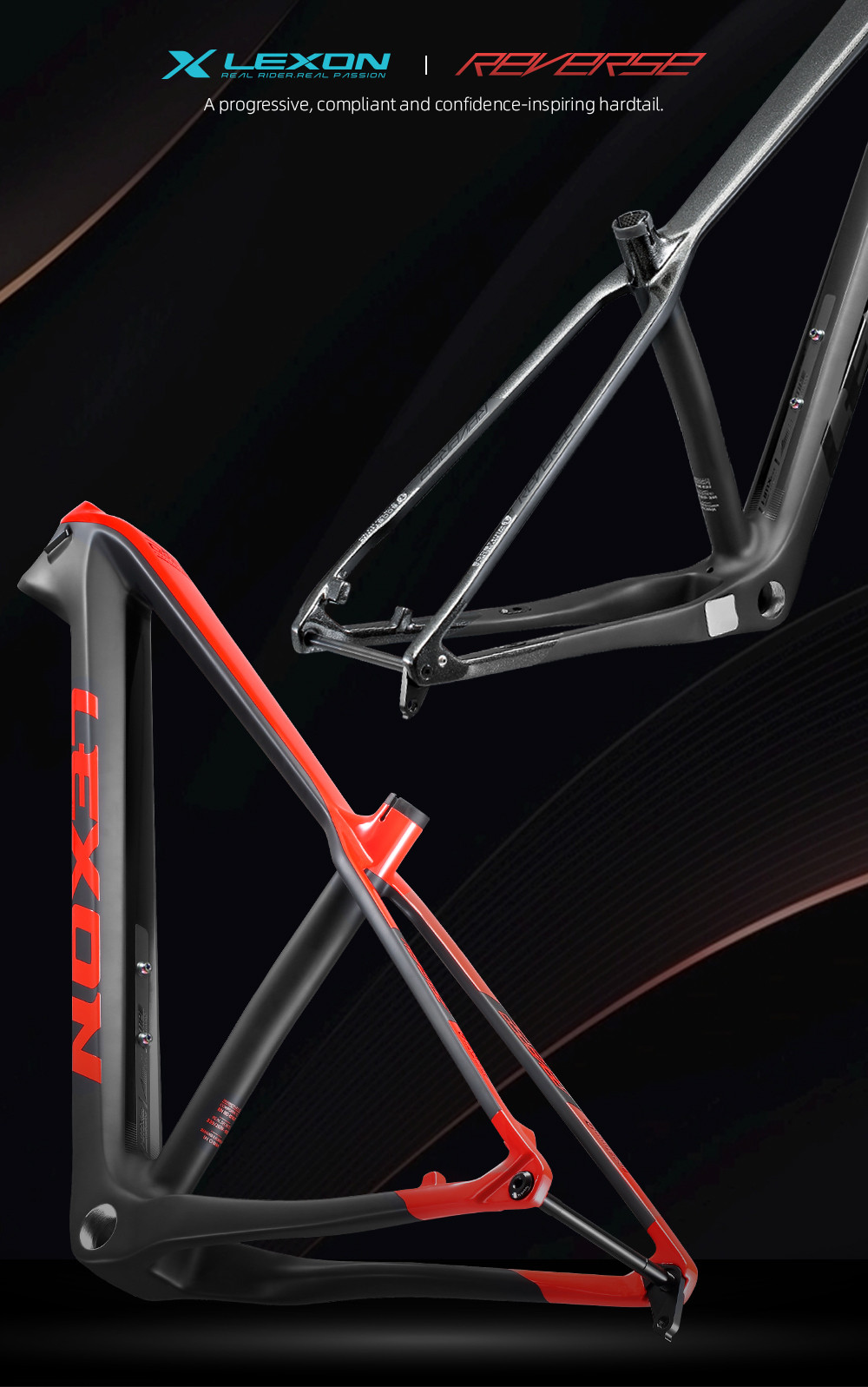 LEXON29er Carbon MTB Frame Full Carbon Mountain Bike Framesets Hardtail ...