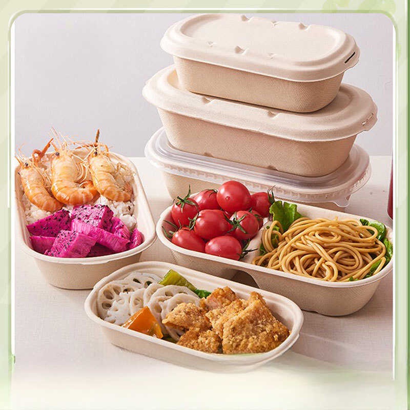 Disposable Degradable Pulp Light Food Box Fiess Packaging Divided Meal ...