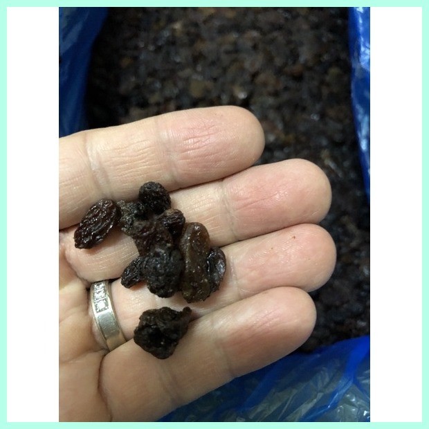 ® Pasas Raisins 500g Sun Choice brand | Shopee Philippines