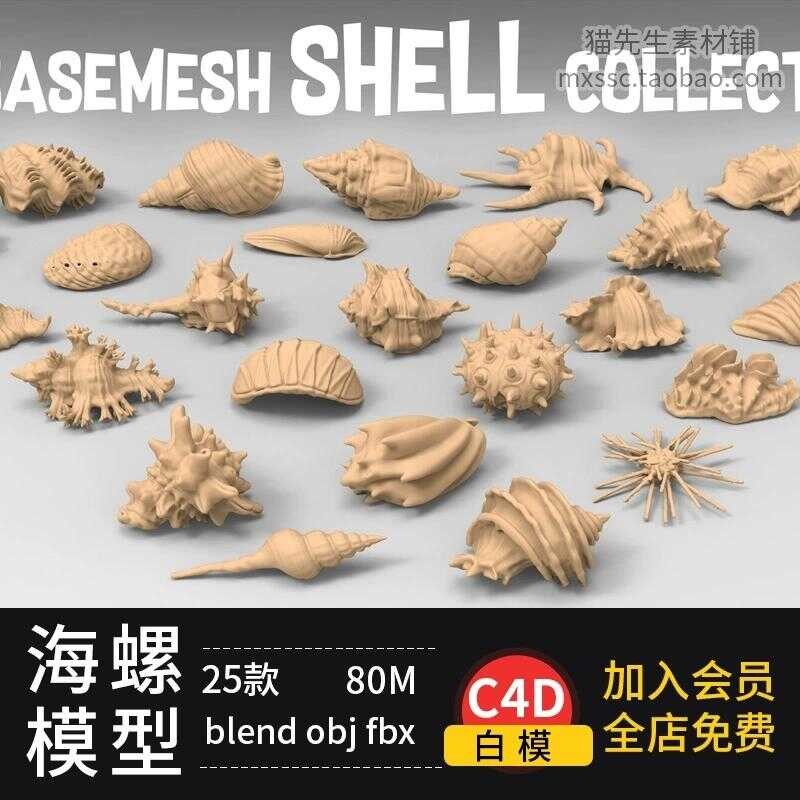 25 Blender Ocean Shells Shell Conch C4D Model FBX Files 3D Material obj ...