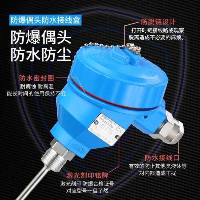 Explosion proof thermistor 100 temperature sensor temperature probe ...