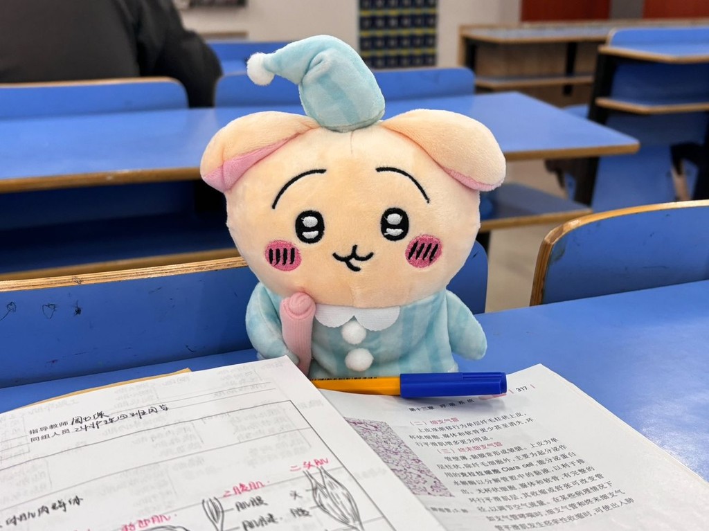 【Fast shipping】chiikawa plushie chikawa Small Eight Jiika Usagi Cute ...