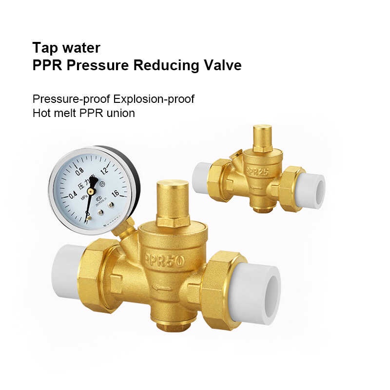 Adjustable Type Pressure Reducing Vae Brass PPR Hot Melt Reduction Vaes ...