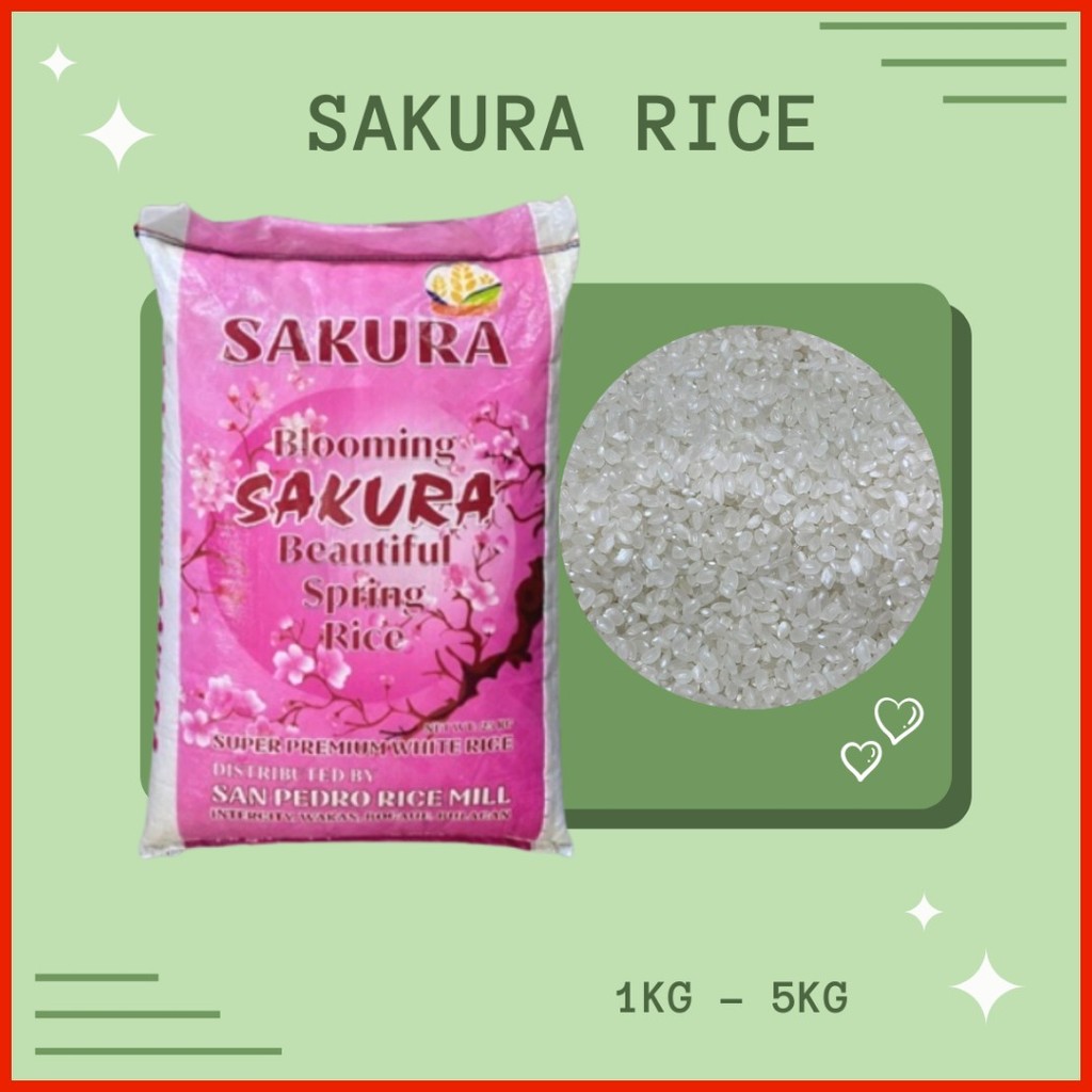 Sakura Japanese Rice (Sushi Rice) - 1KG to 5KG | Shopee Philippines