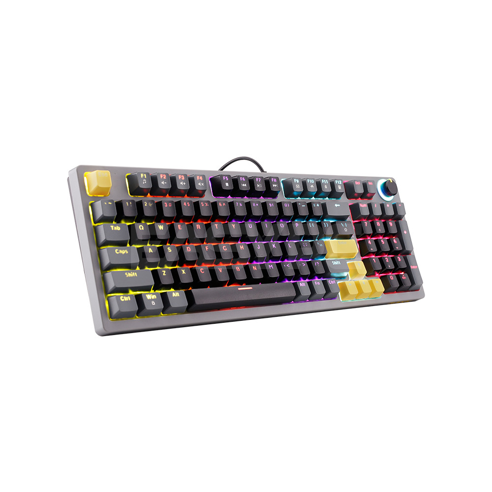 EasyPC| Rakk Daug 96 mechanical keyboard| Hotswappable|Yellow Switch ...