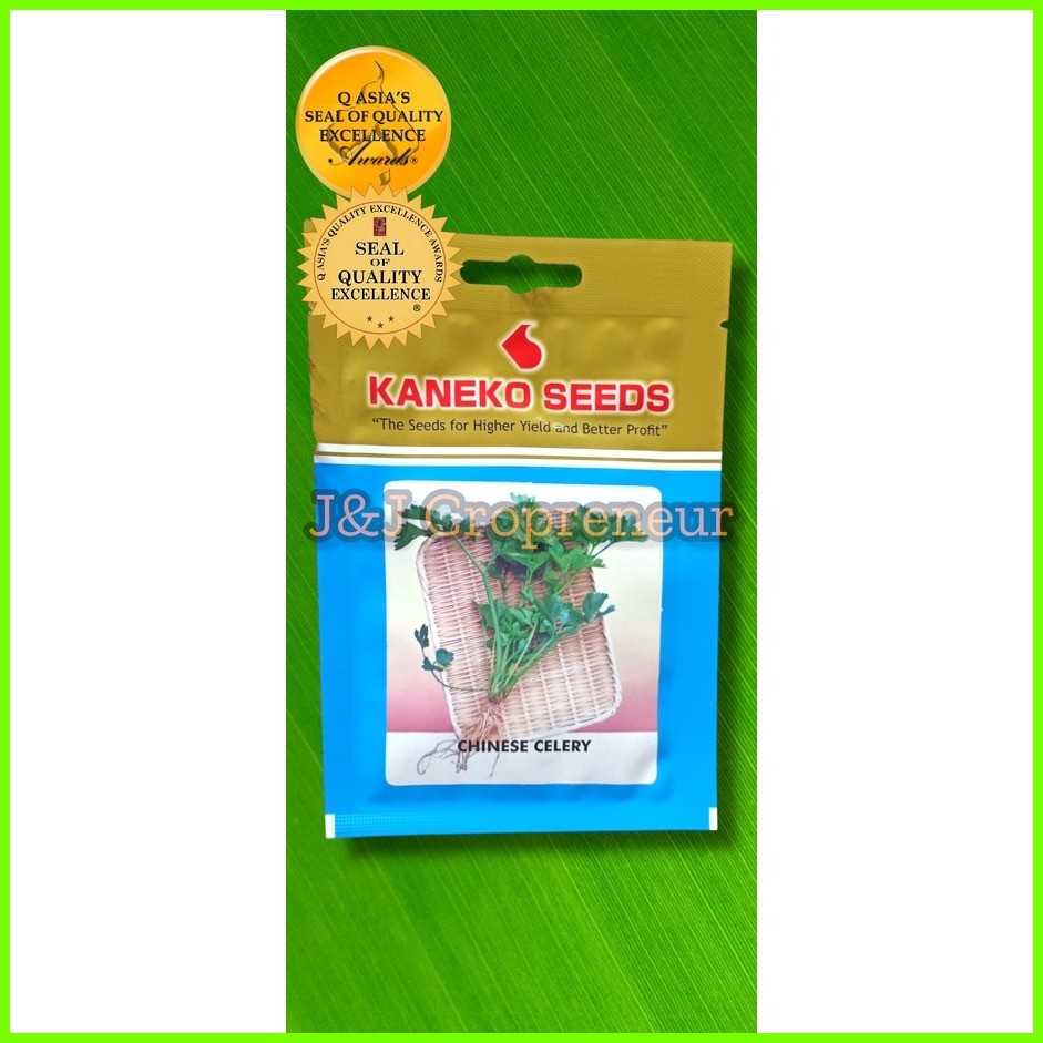 KANEKO SEEDS KINCHAY CHINESE CELERY SEEDS (3 GRAMS) | Shopee Philippines