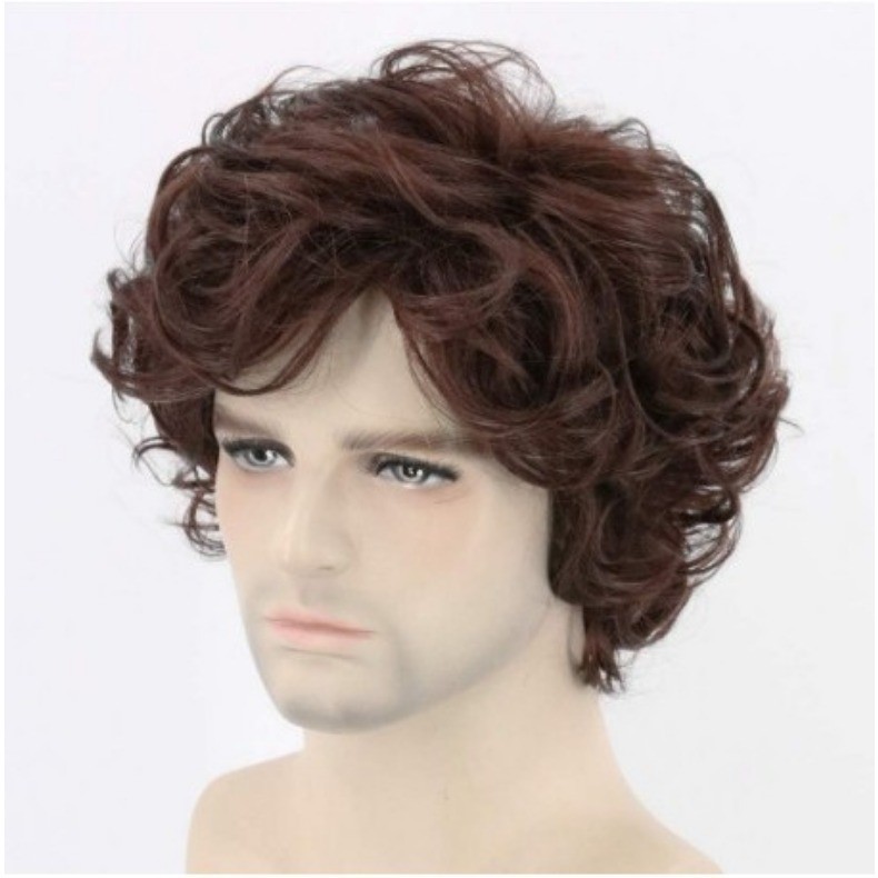 New European and American men's wigs, brown short curly hair, fluffy ...