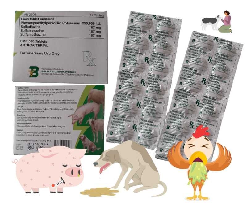 2024 SMP 500 SMP 250 antibacterial for dogs swine goats | Shopee ...